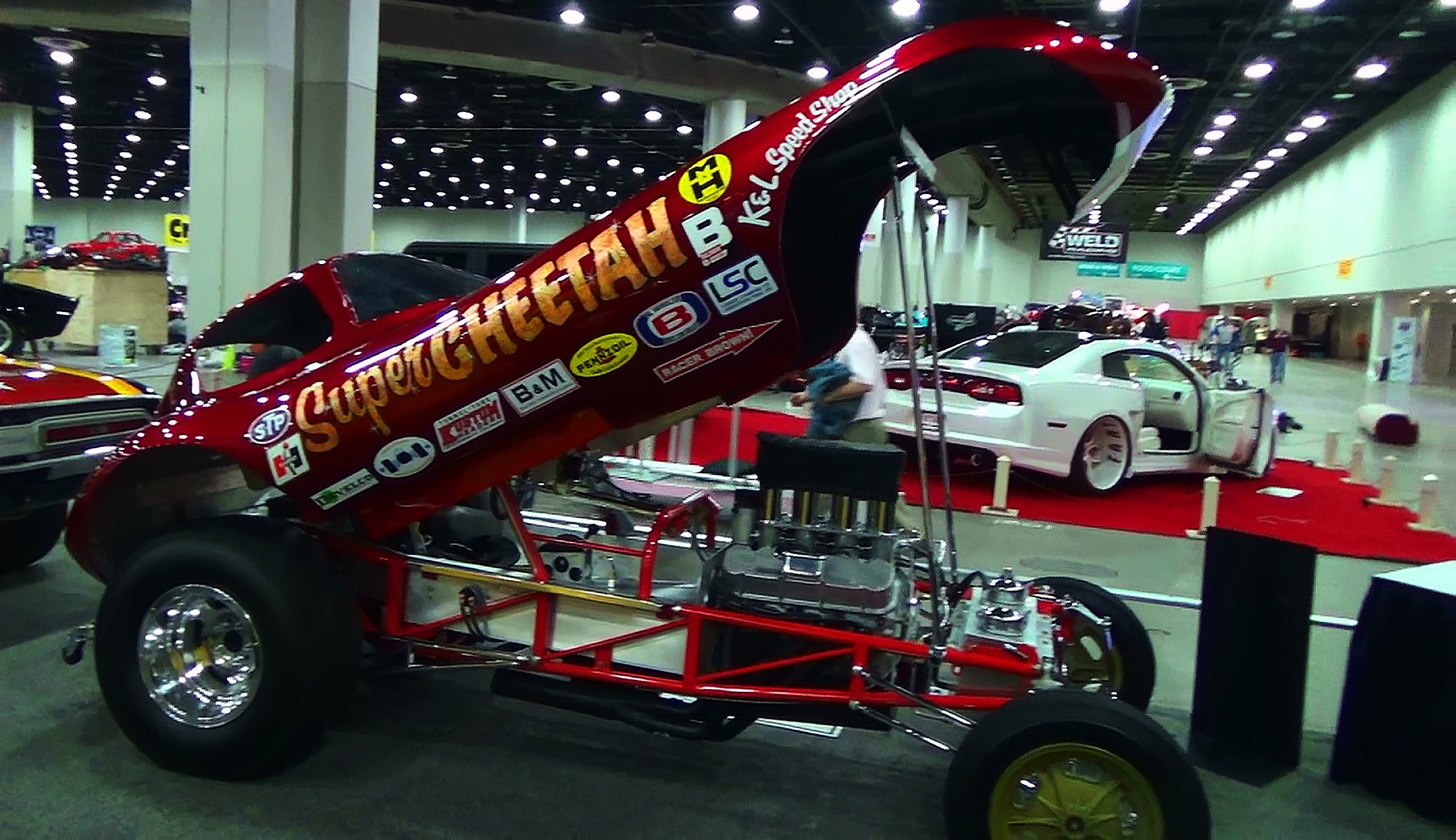 ScottieDTV - Coolest Cars On The Web Super Cheetah B/A Drag Car Detroit ...